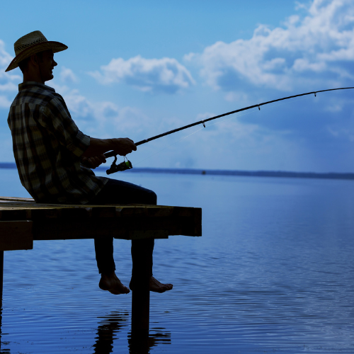 Hartlepool Food Partnership
